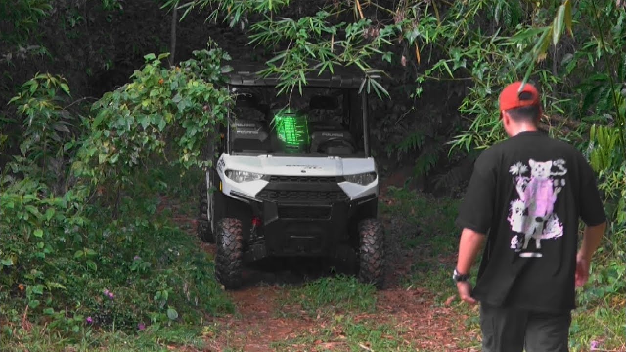 Top 5 de Frutas Tropicales exóticas y sus beneficios #búkutu # ...