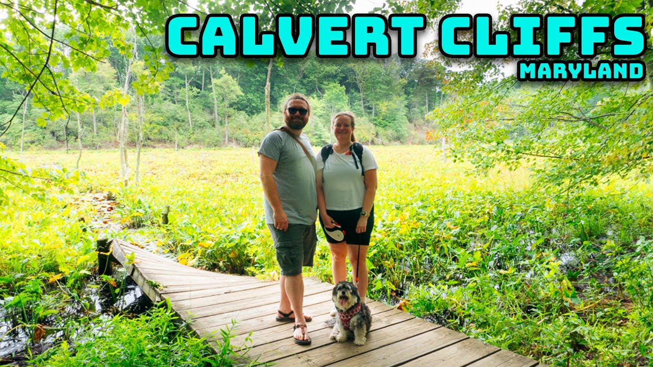 Hiking in CALVERT CLIFFS STATE PARK/ our last day in Maryland - YouTube