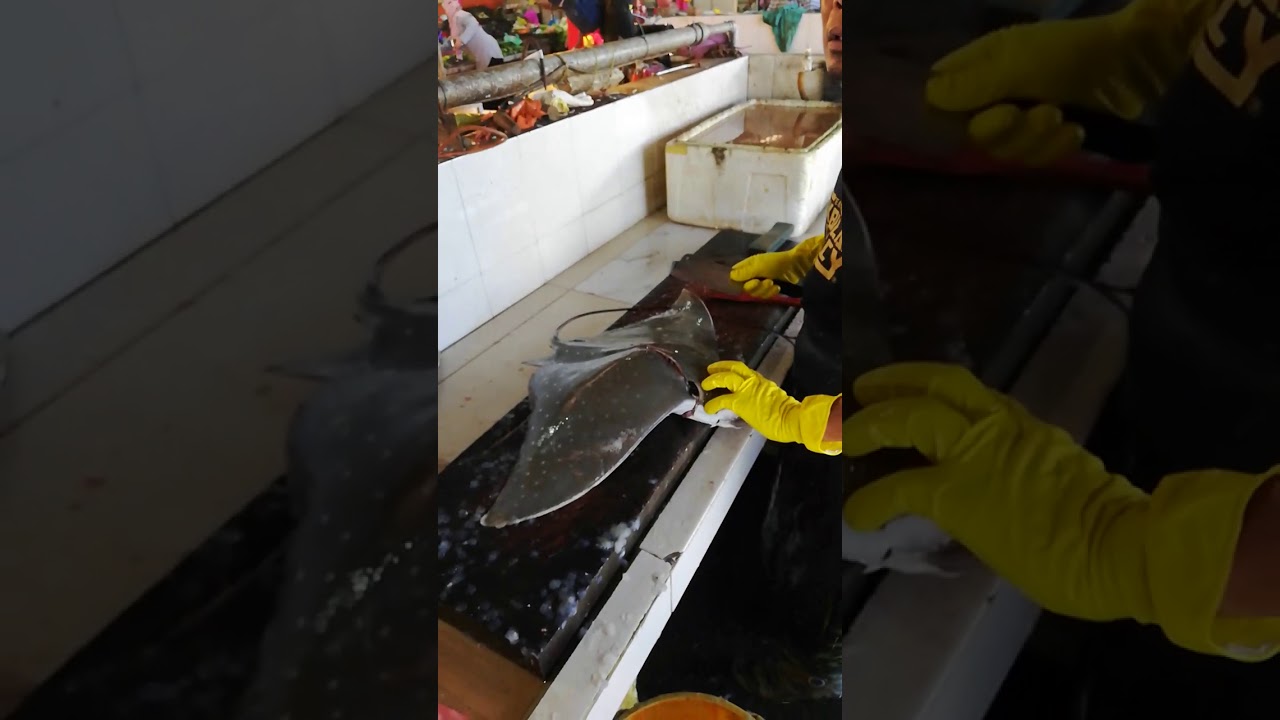 Teknik Atau Cara Menyiang Ikan Pari Helang - YouTube