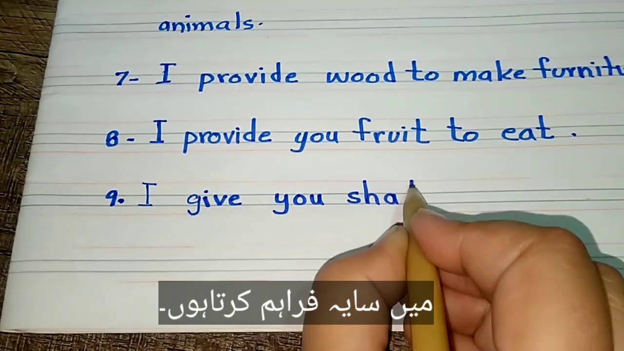 I am a tree/10 lines I am a tree/creative writing/ I am a tree Essay in ...