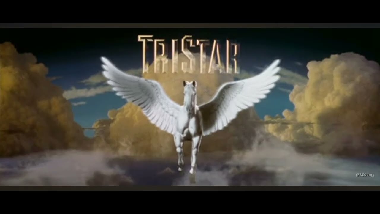 TriStar Pictures FilmDistrict Metro-Goldwyn-Mayer 75 Years DC Comics 87 ...