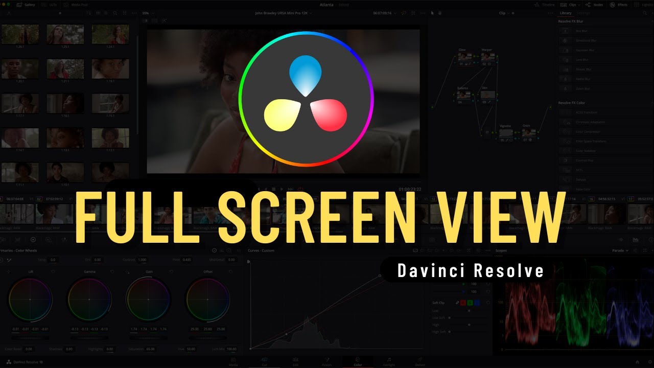How to View Full Screen in Davinci Resolve 18 & 18.5 - YouTube