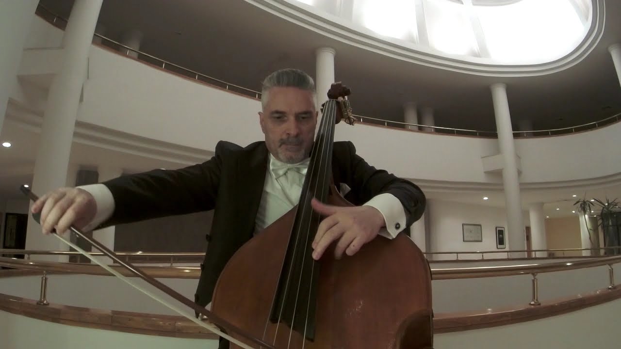 Domenico DRAGONETTİ - Twelve Waltzes - YouTube