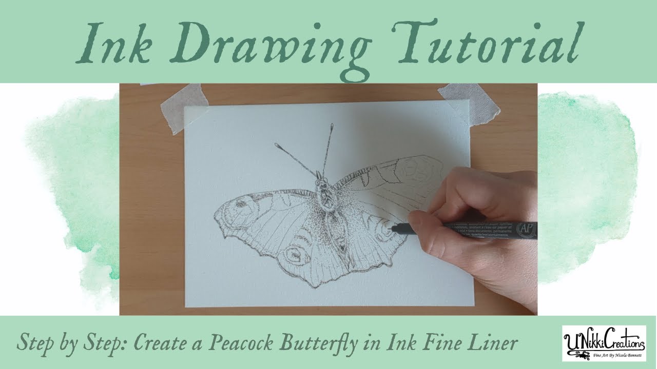 Peacock Butterfly ink drawing tutorial step by step part one - YouTube