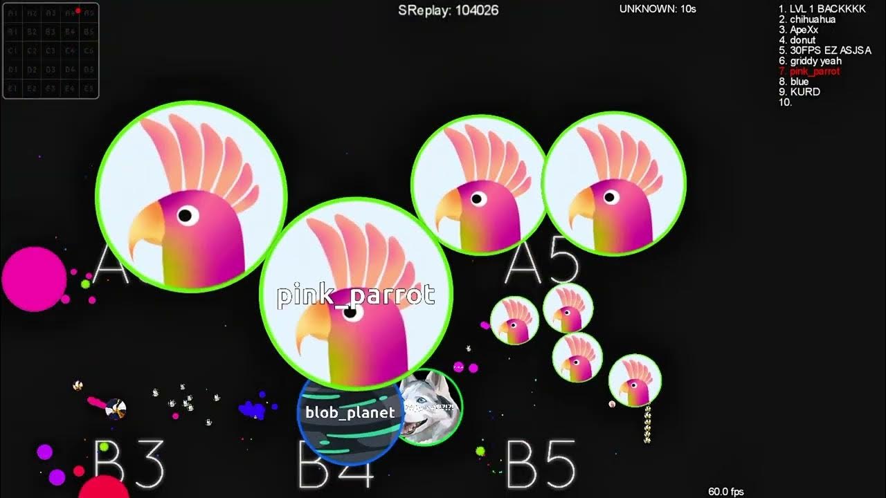 HIGHLIGHTS 2 Blob.io Macro (6001) - YouTube