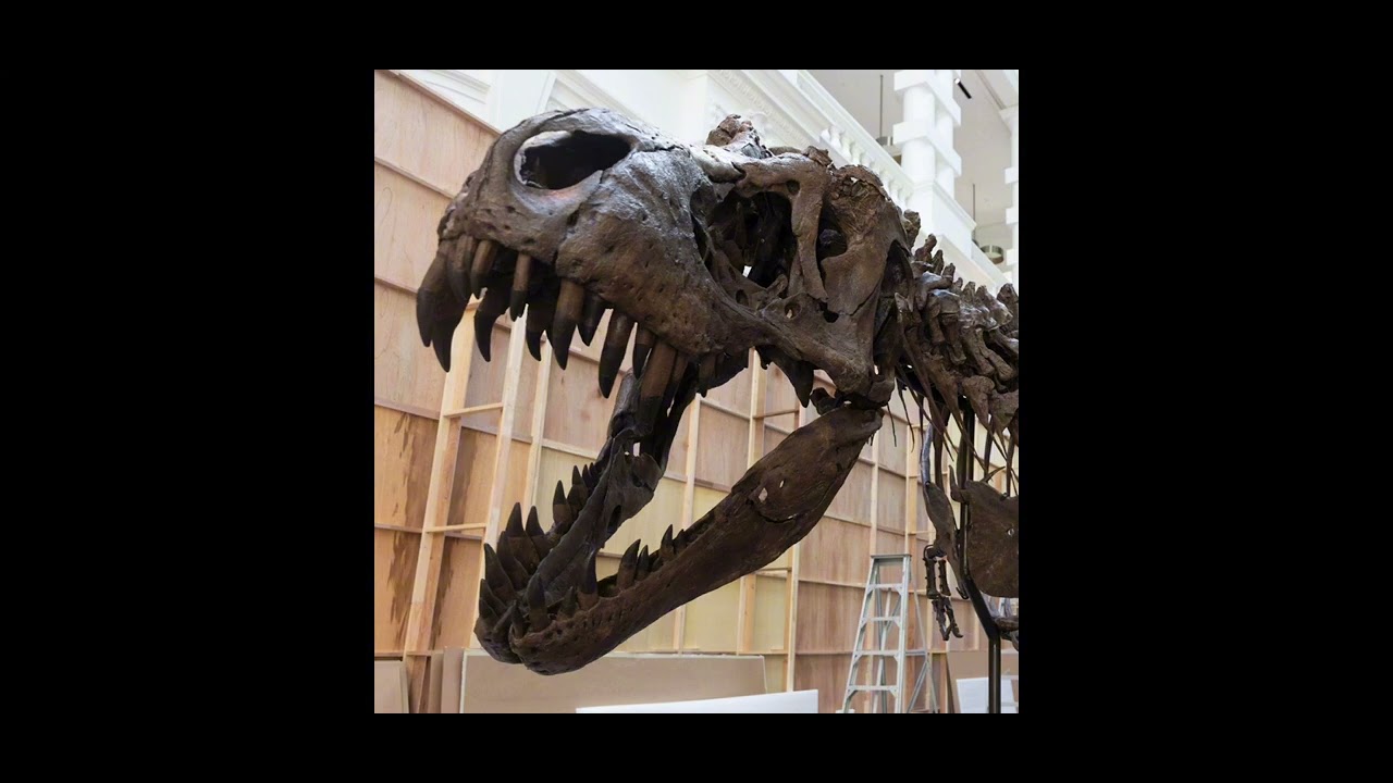 DethTech - Private Eye (Alkaline Trio Cover) - YouTube