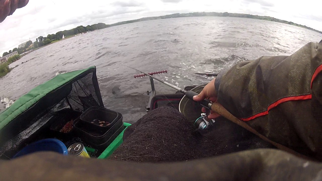 fishing for roach/bream hybrids in ireland july 2017 - YouTube