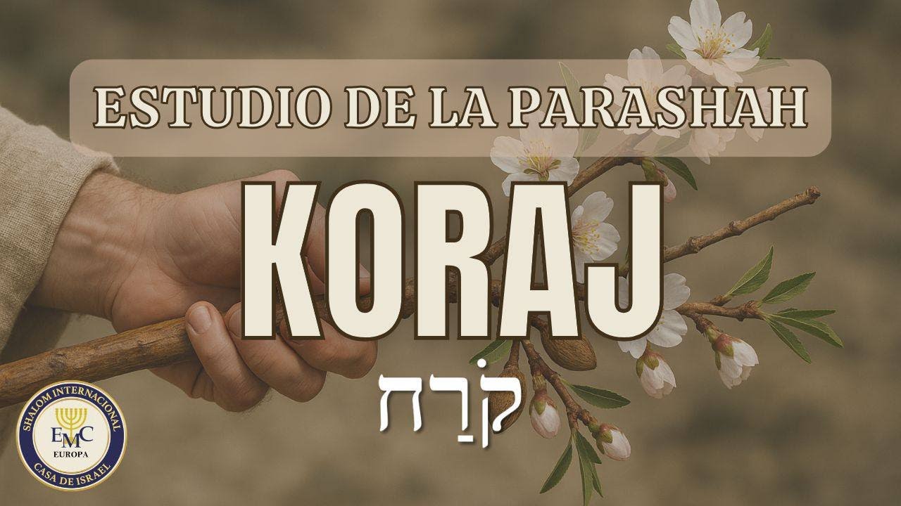 Estudio de la parashah 38 - Koraj - EMC Europa - 5785 - YouTube