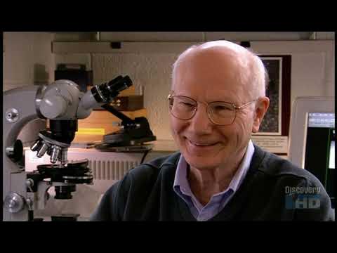 100 Greatest Discoveries : TopTen - YouTube