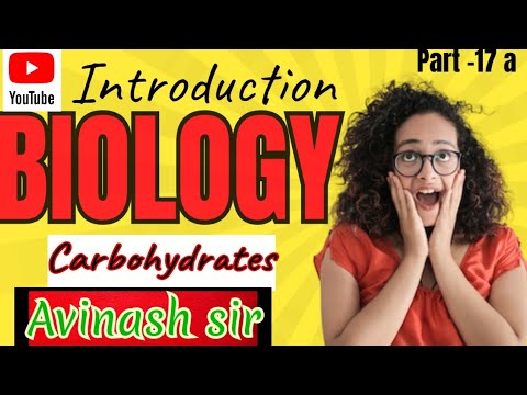 Biomolecules || Introduction || Carbohydrates || Class 11/NEET ...