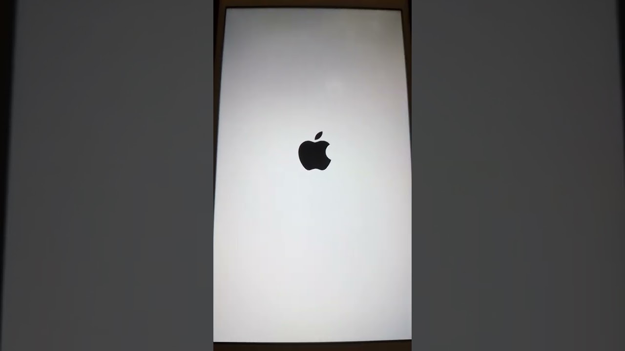 Apple Logo - YouTube