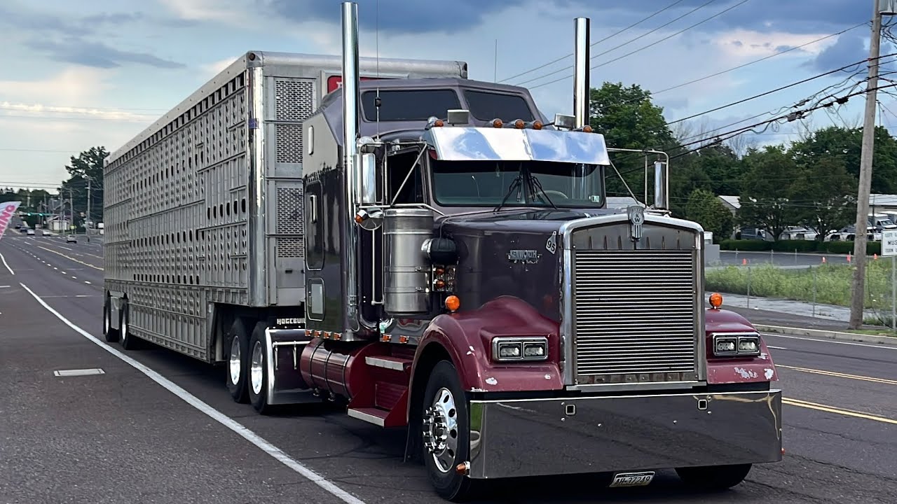 Days & Nights Of PA 309 Vol. 1 - YouTube