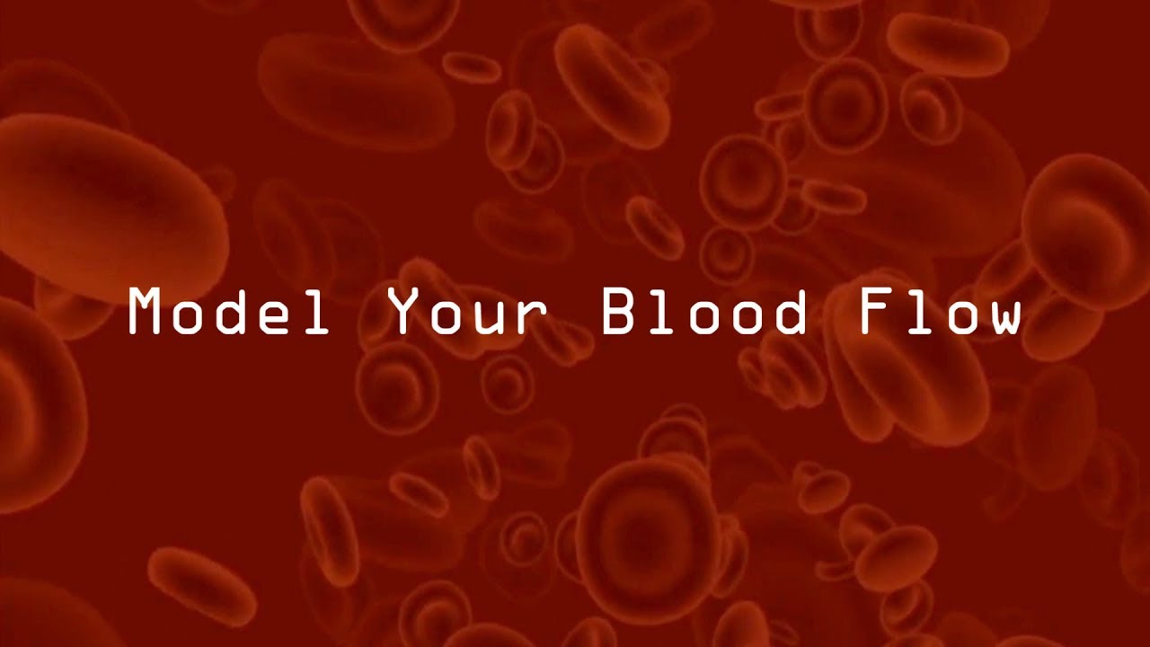 Model Your Blood Flow – STEM activity - YouTube