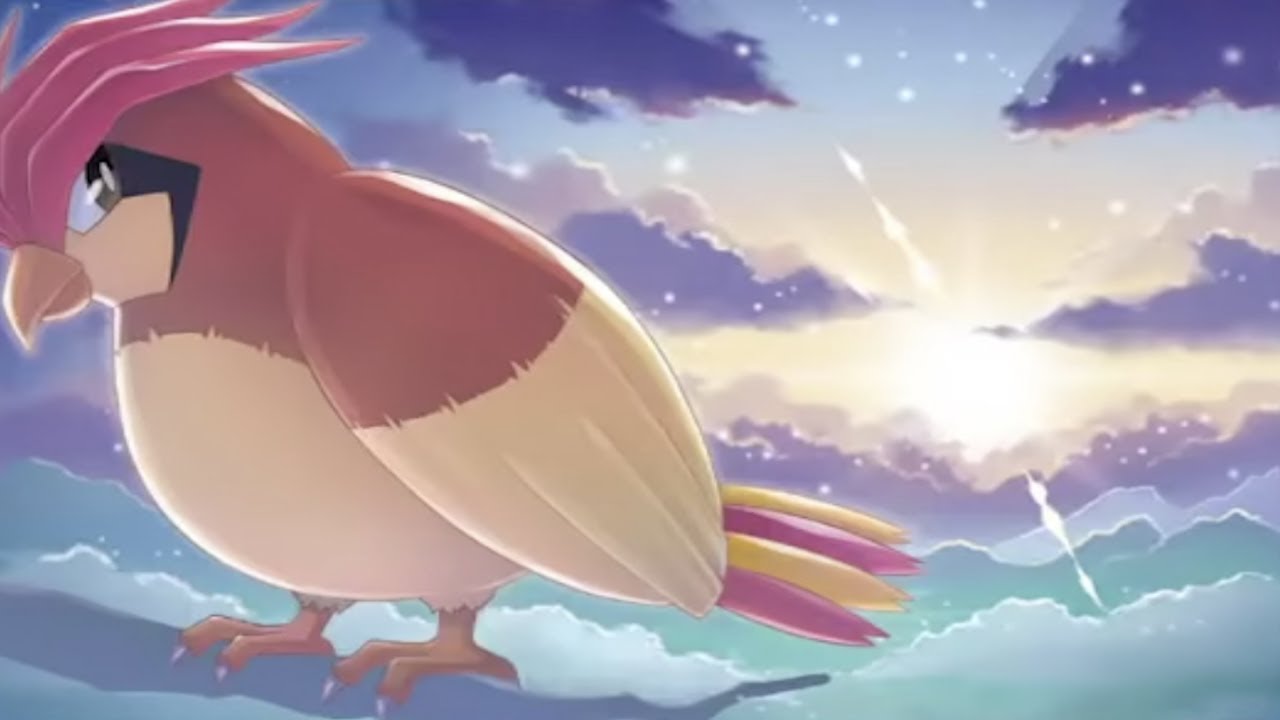 Video 17: Pidgeotto Deck Profile - YouTube