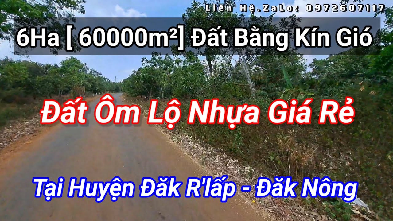 ( Da Ban) Đất Nông Nghiệp Giá Ngộp Tại Huyện Đăk R'lấp Đăk Nông / Kín ...