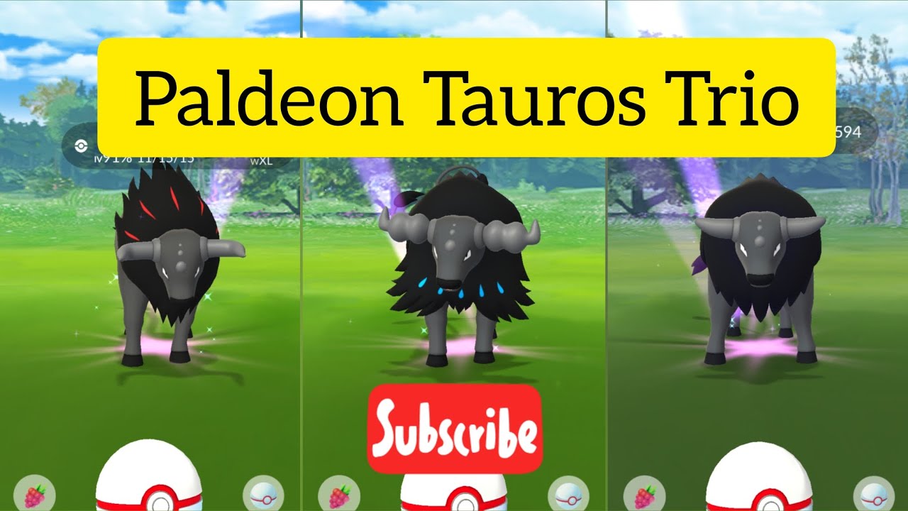 All the Variants of Paldean Tauros Caught in Pokemon Go 🐂 #pokemongo # ...