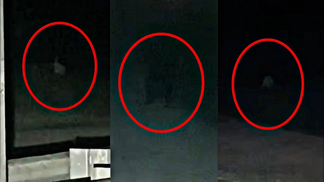 RAIL KERETA API LAMA - HANTU HITAM MERANGKAK | Paranormal DZP Dauz ...