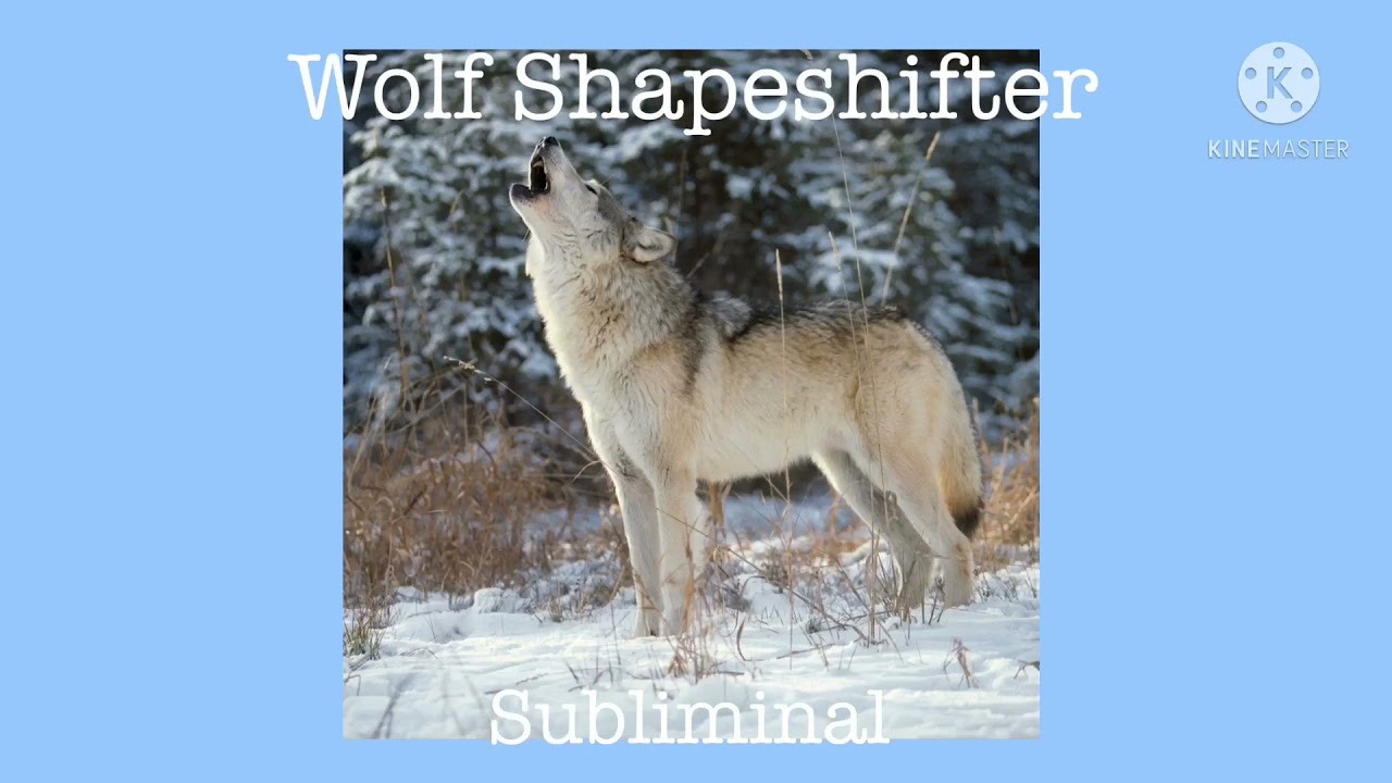 Shapeshift Into a Wolf [Subliminal] [Read Desc] - YouTube