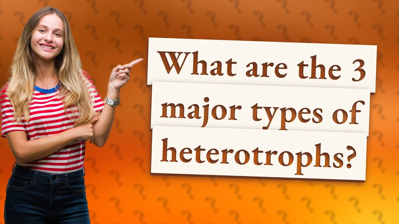 What are the 3 major types of heterotrophs? - YouTube