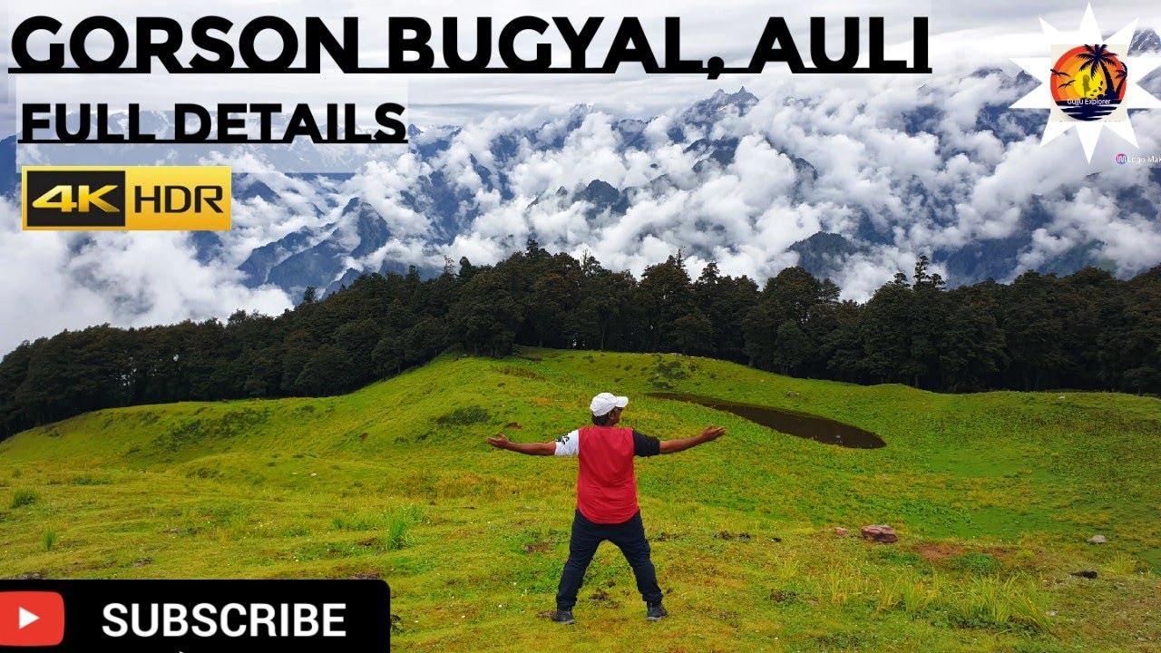 Gorson bugyal trek | Auli | places to visit near auli | auli ropeway ...