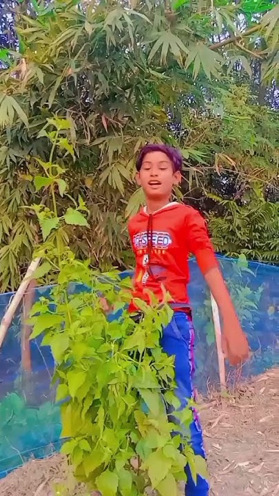 pagol pagol bole loke pagol ami noi - YouTube