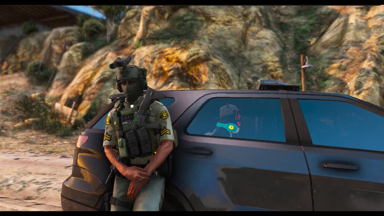 GTA HUB SPECIAL ENFORCEMENT BUREAU --SEB - YouTube