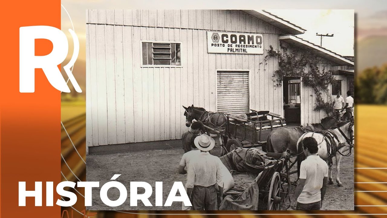 Memorial da Coamo: uma viagem ao início da maior cooperativa da América ...