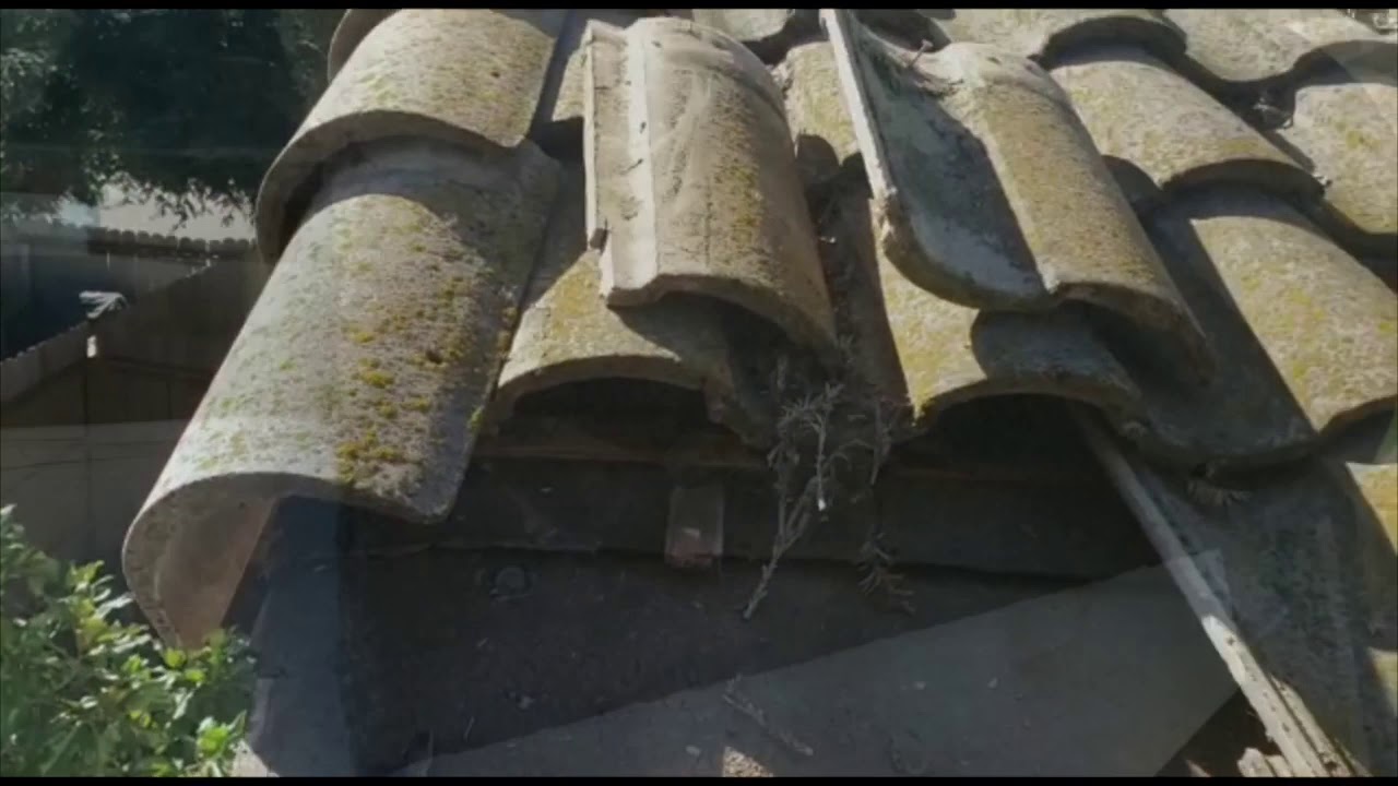 Clay tile roof repair from pest damage - YouTube