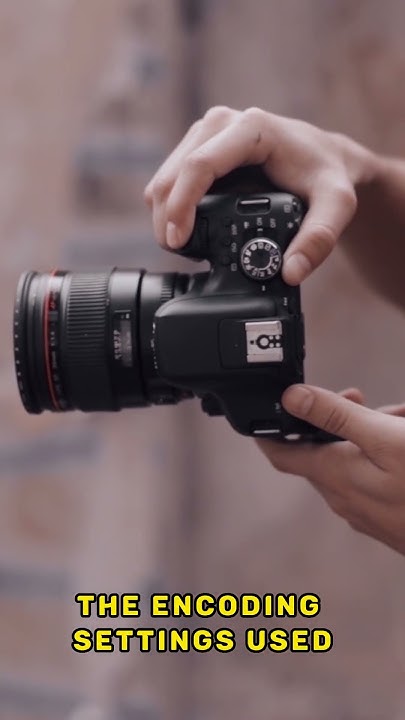 The Difference between WEB Rip VS WEB DL - YouTube