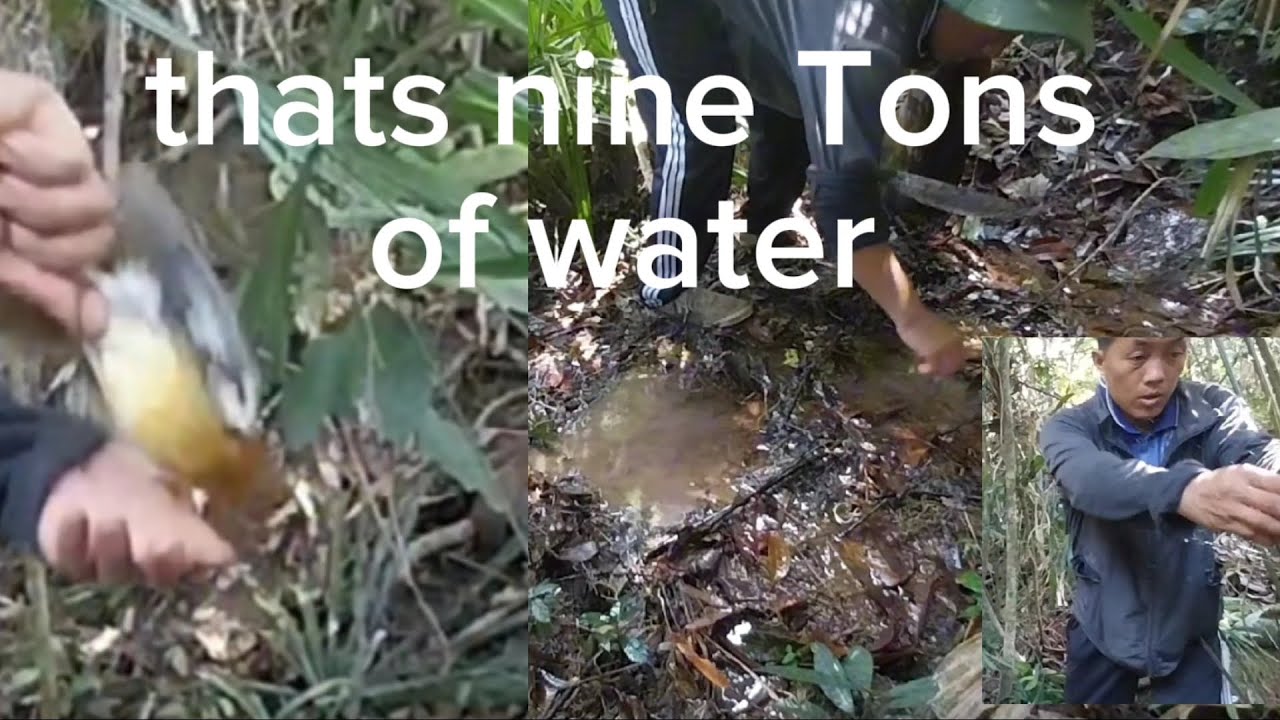 Thats nine Tons of water - YouTube