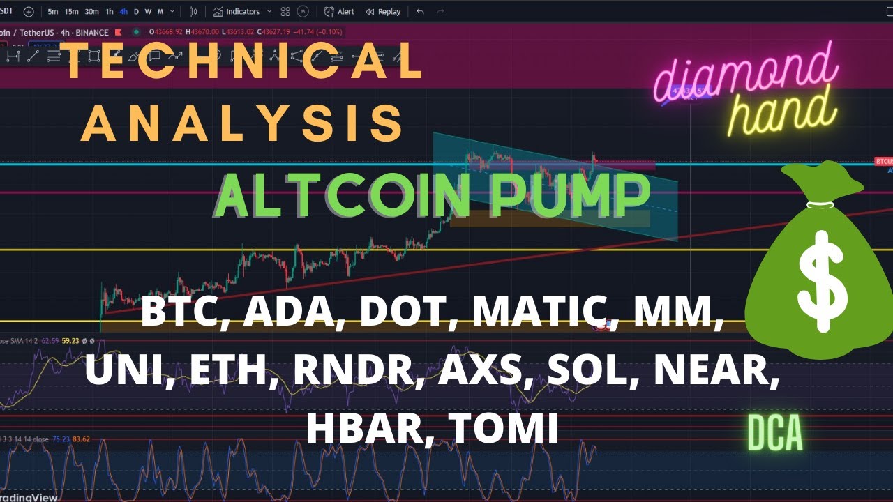 ALTCOIN PUMP!!!! ALTCOIn Price Target.. Lihat Data Ini.. - YouTube