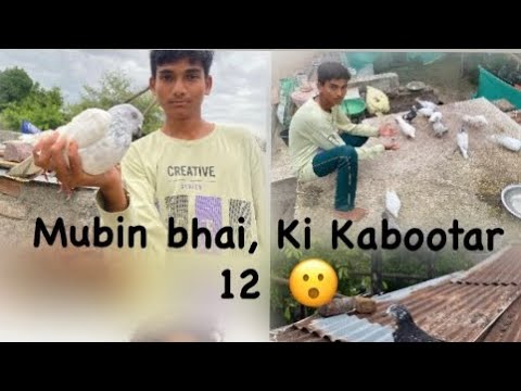 Mobin Bhai Ki Kabootar or Mobin bhai, Ko Bolte Nhi Aata Hai 🫡 😱🤔 - YouTube