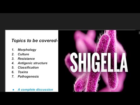 shigelluosis || shigella microbiology || morphology, culture, antigenic ...