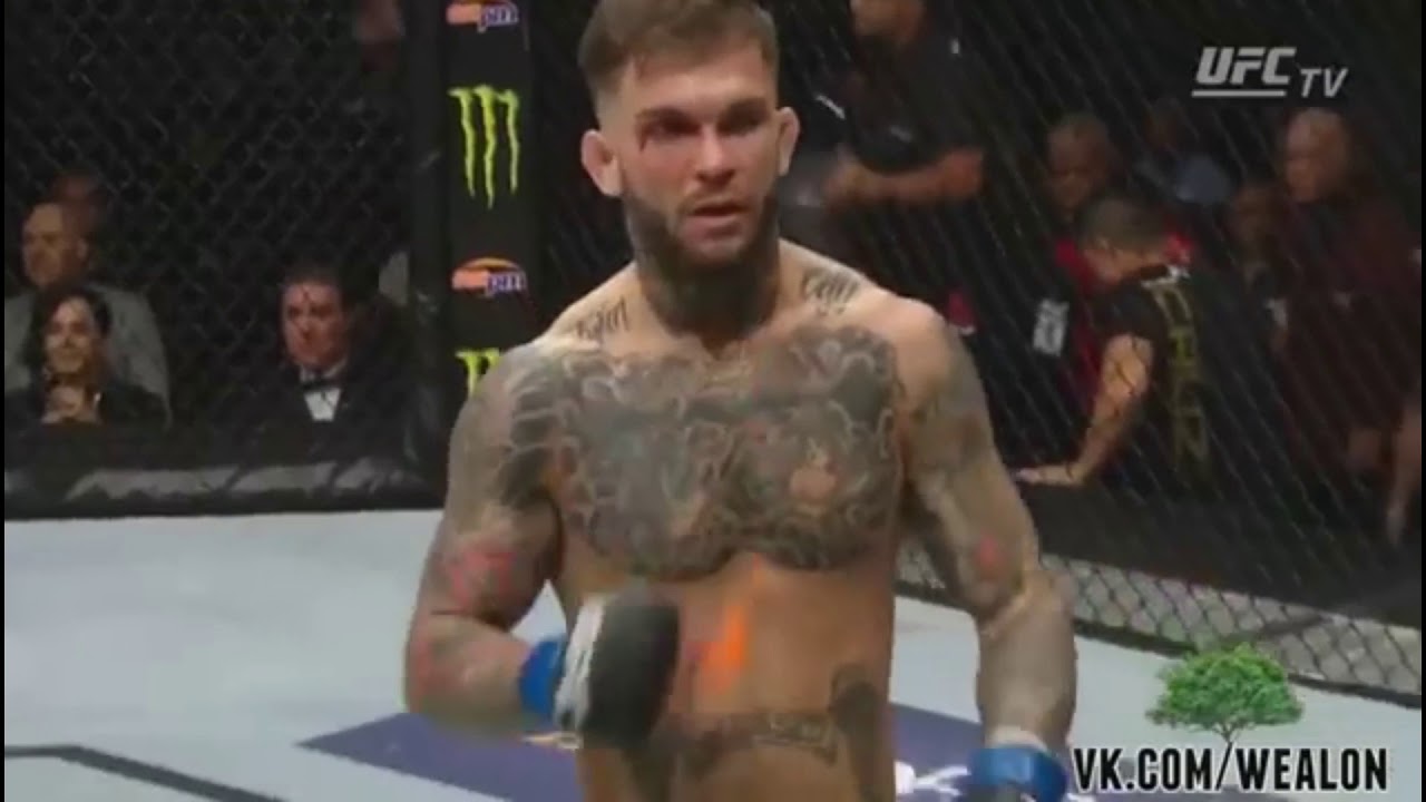 Cody Garbrandt vs Dominick Cruz (Ramirez:Grey Gods) - YouTube