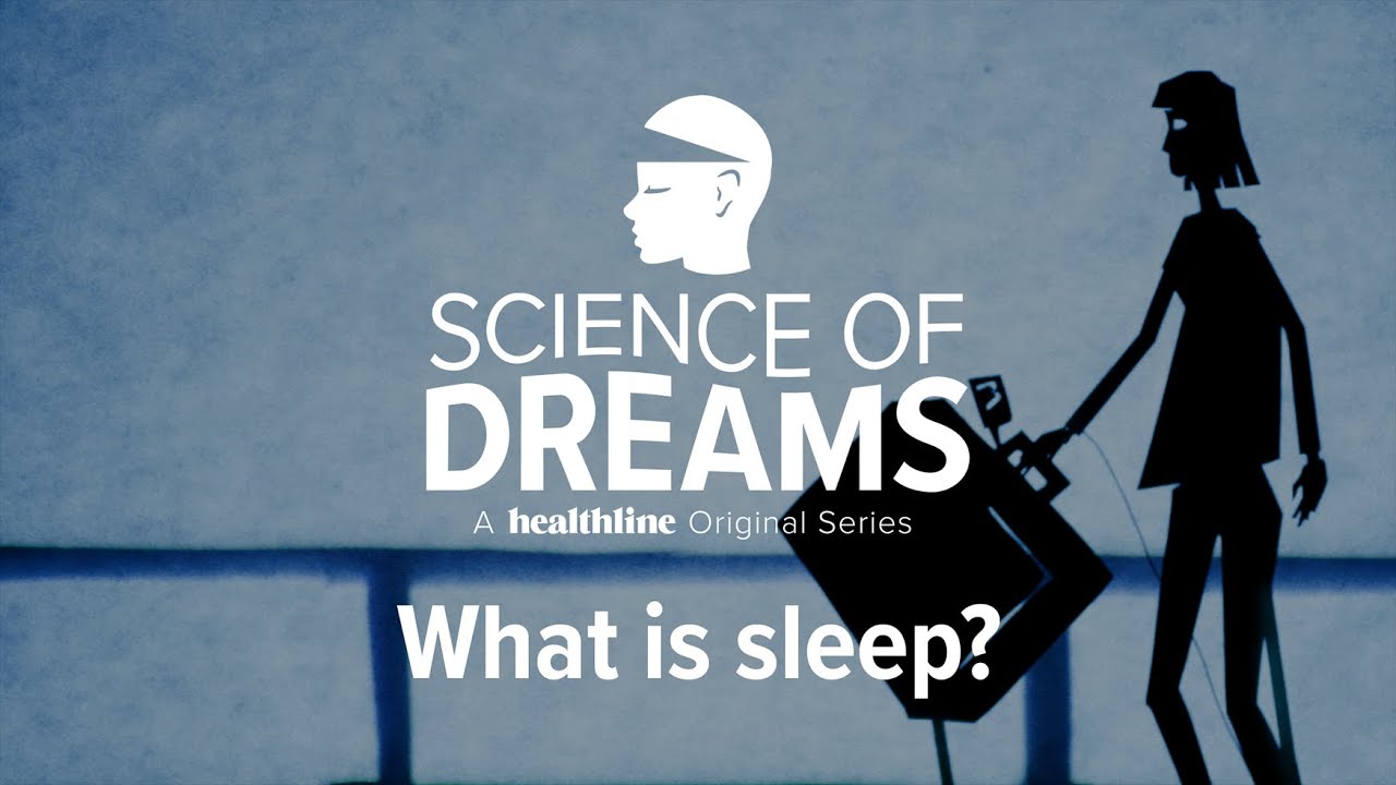 Science of Dreams: What Is Sleep? - YouTube