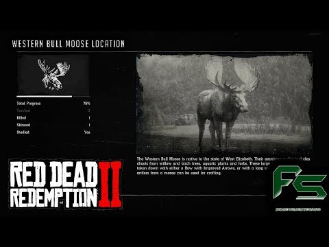 Red Dead Redemption 2 - Western Bull Moose Location - Grizzlies East ...