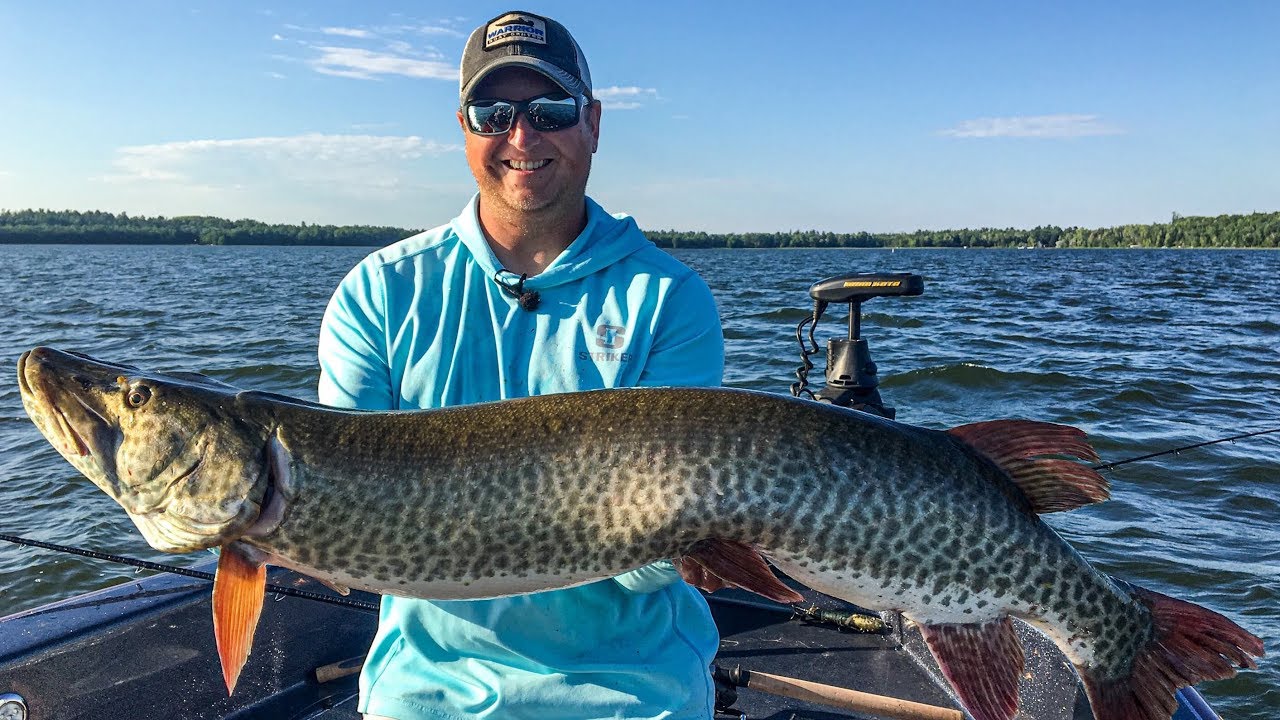 Minnesota Muskies - Go Angling E14 - YouTube