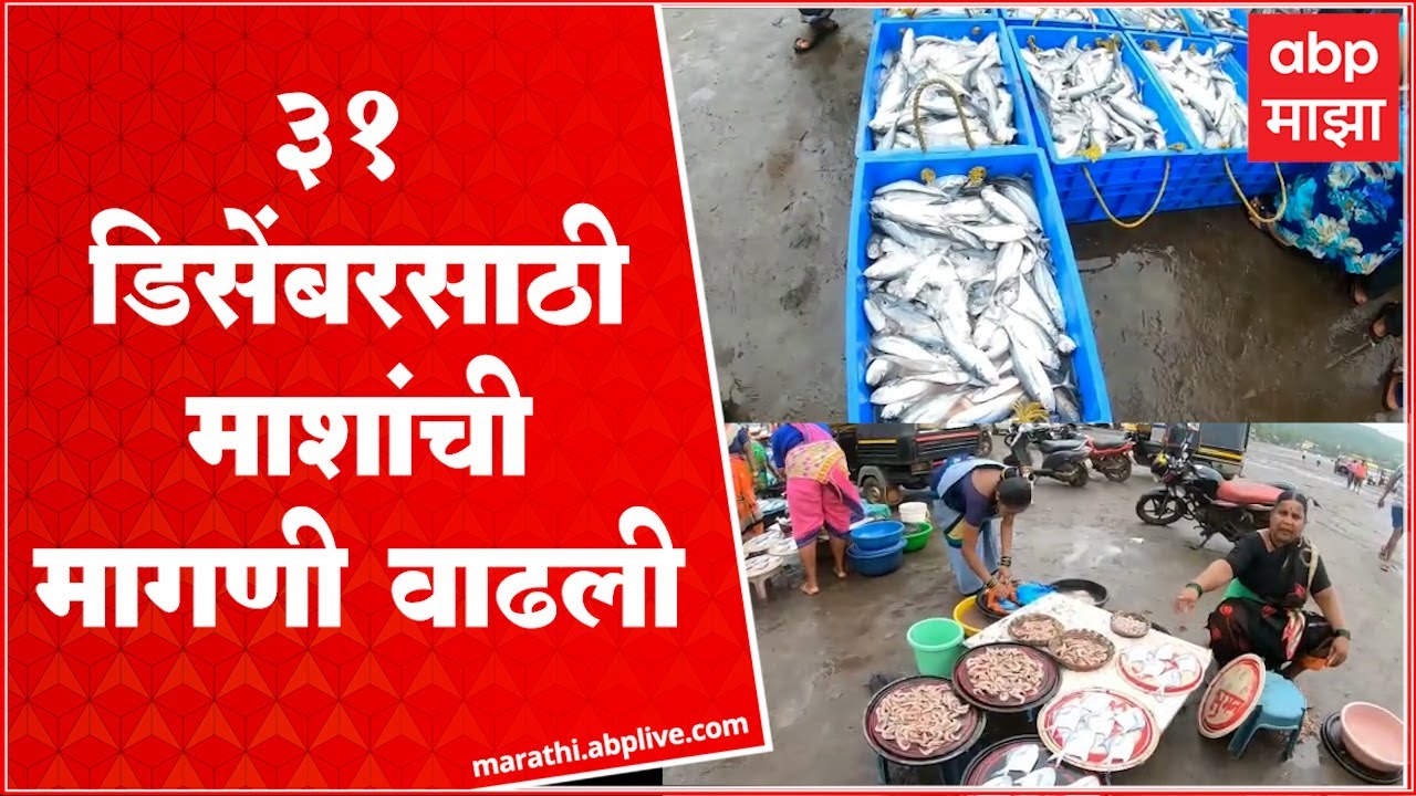 Ratnagiri Fish Price Hike : 31 डिसेंबरसाठी मासळीची मागणी वाढली, पापलेट ...
