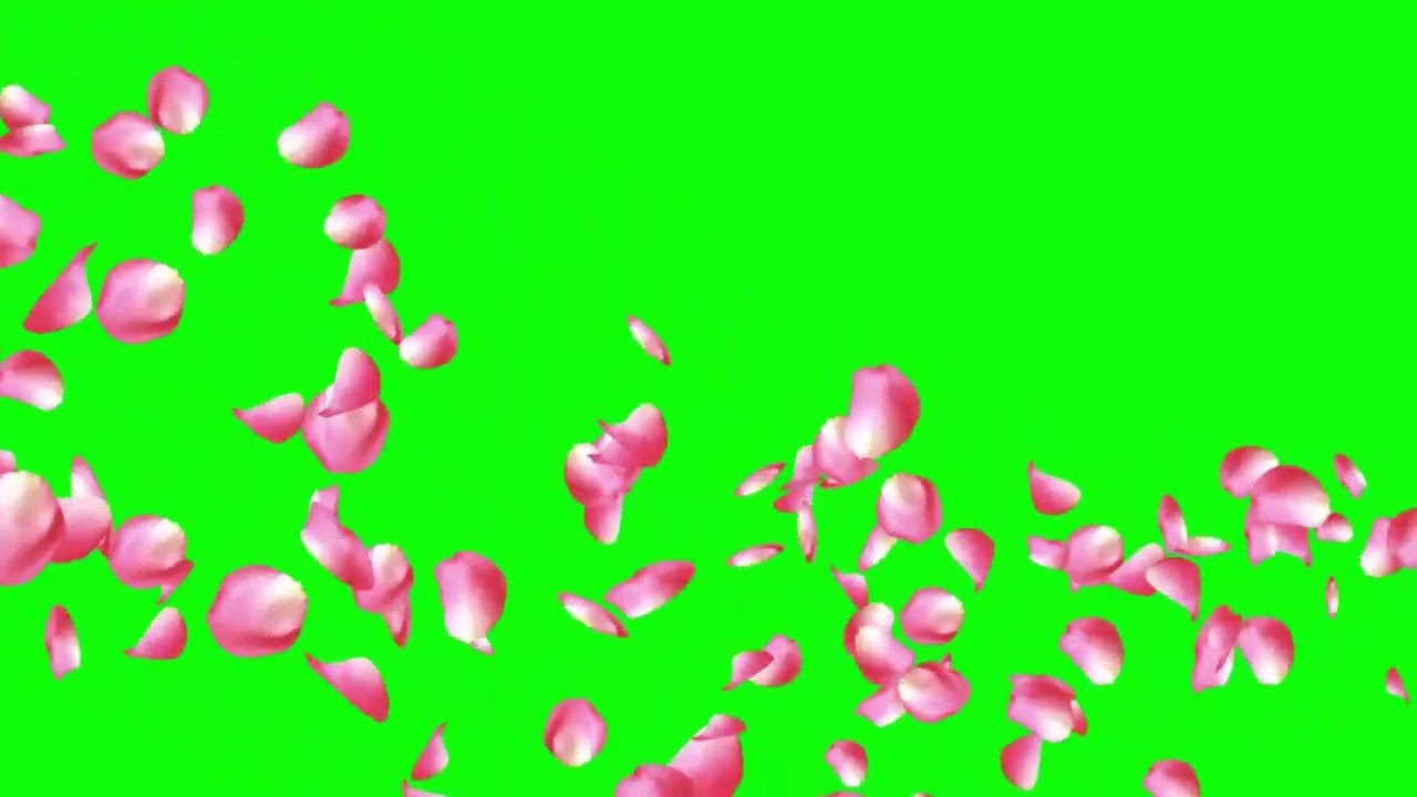 🌺 Flowing Flower Petals - Flower Petals Green Screen Pack - YouTube