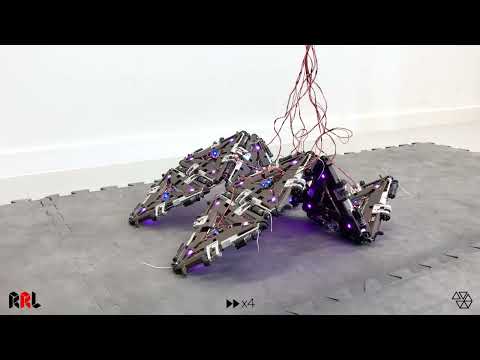 These 2D robots can combine to form 3D shapes | Popular Science