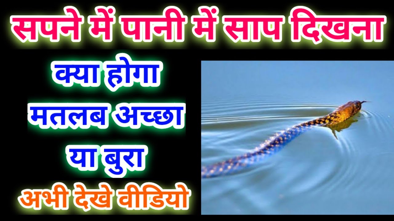 सपने में पानी में सांप दिखना,sapne me pani me saap dikhna,seeing snake ...