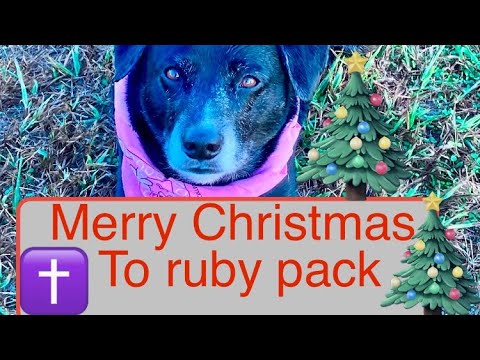 MERRY CHRISTMAS EVE RUBY PACK A SMALL SEARCH FROM TODAY TRIGGER WARNING ...