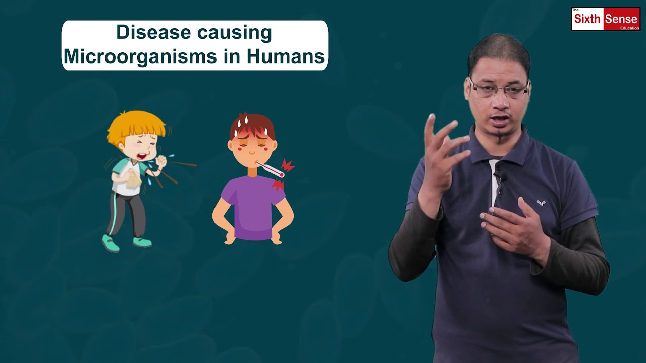 14. Harmful Microorganisms | Class 8 | Chapter 9 - YouTube