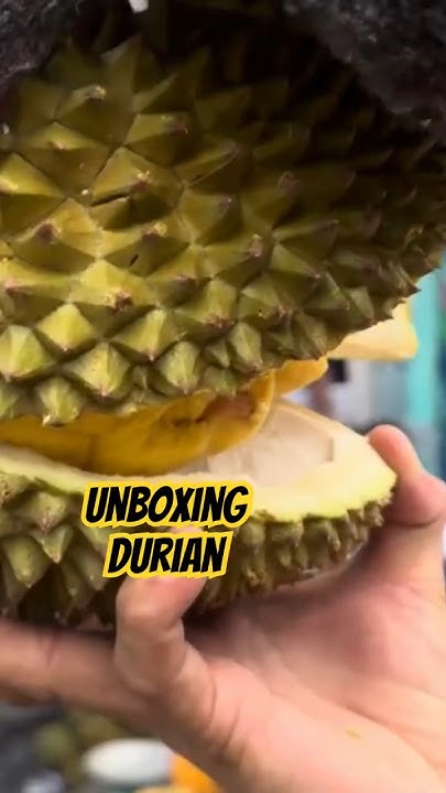 🔴 UNBOXING FAMOUS DURIAN MUSANG KING #shorts #durian #durianlover - YouTube