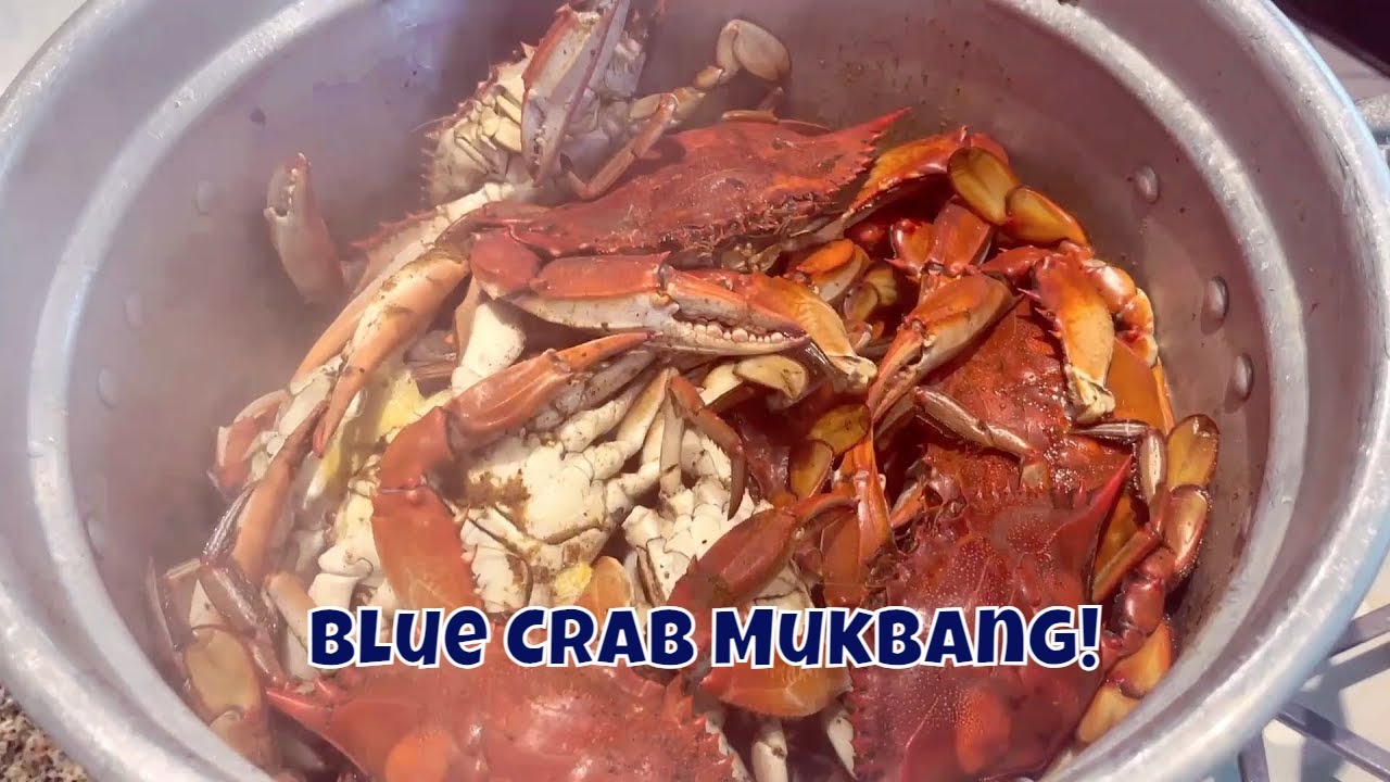 Feast On Mouthwatering Blue Crab Mukbang - YouTube