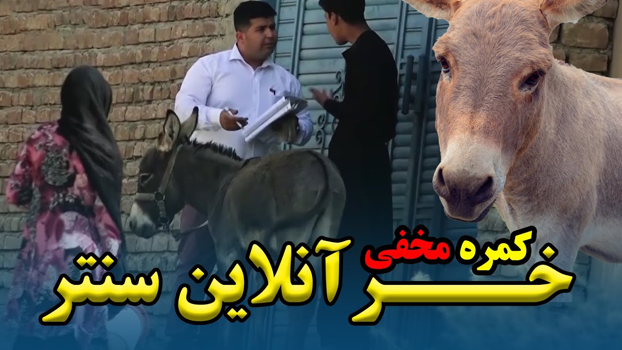 Hidden camera – Donkey Online Center 😂 / کمره مخفی - خر آنلاین سنتر 😂 ...