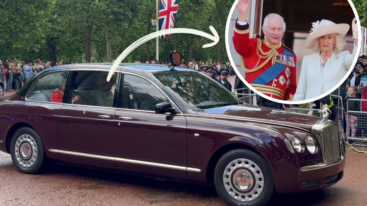THE KING SURPRISED THOUSANDS OF HAPPY ROYALISTS WHO BRACE THE RAIN ...