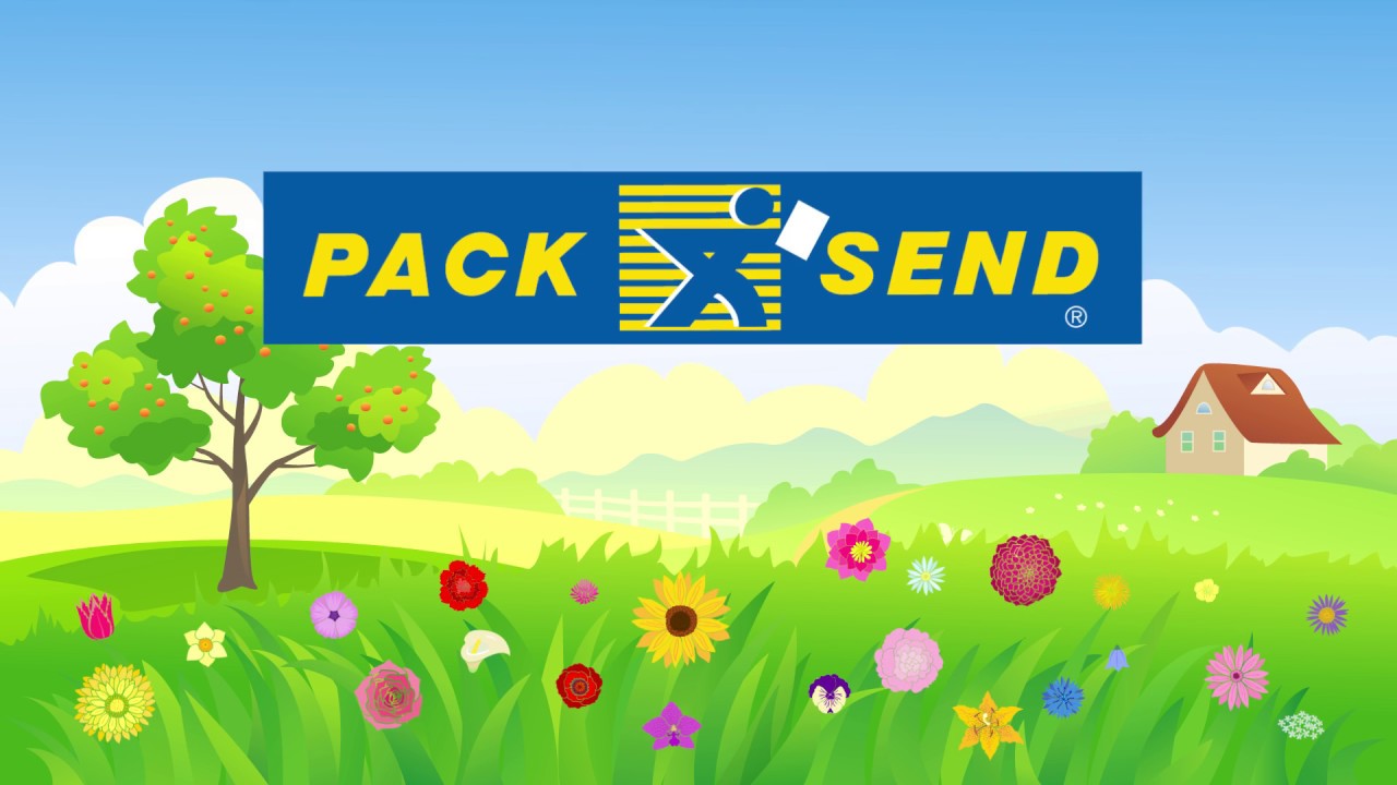 Help Your Business Bloom With PACK & SEND - YouTube