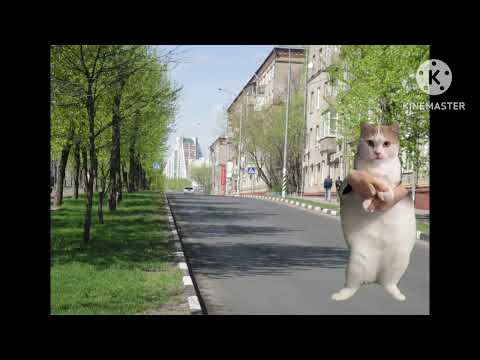 покупка кириешек - YouTube