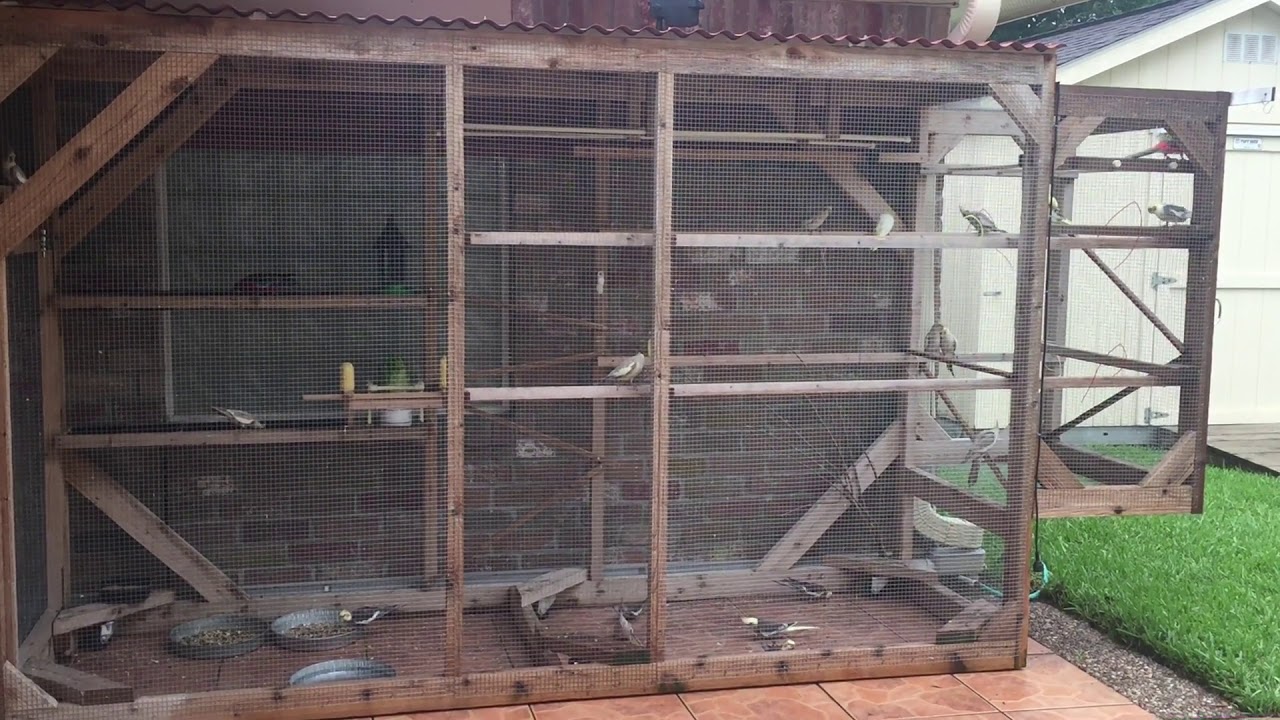 DIY Bird Cage 1 of 2 - YouTube